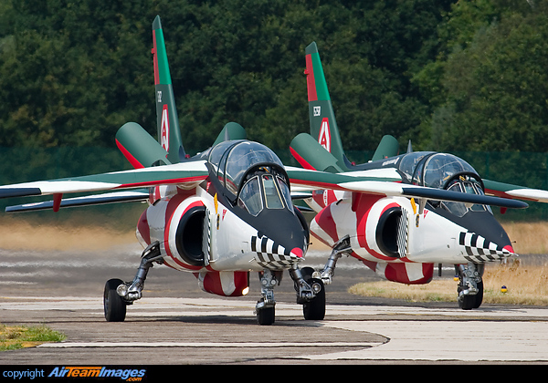 Dassault Alpha Jet A Asas de Portugal 15202 - AirTeamImages.com